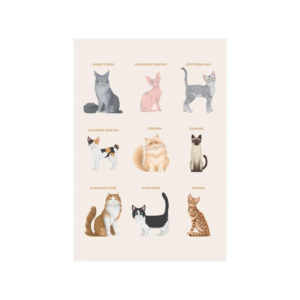 Placa Decorativa MDF Pet Lovers Gatos 20x29cm
