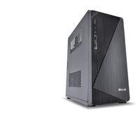 Computador Skul Business B300 Dual Core I3 6100